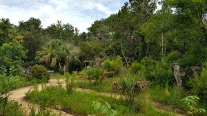 Titusville Enchanted Forest Sanctuary - Brevard County, Florida ...