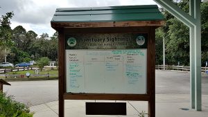 Titusville Enchanted Forest Sanctuary - Brevard County, Florida ...