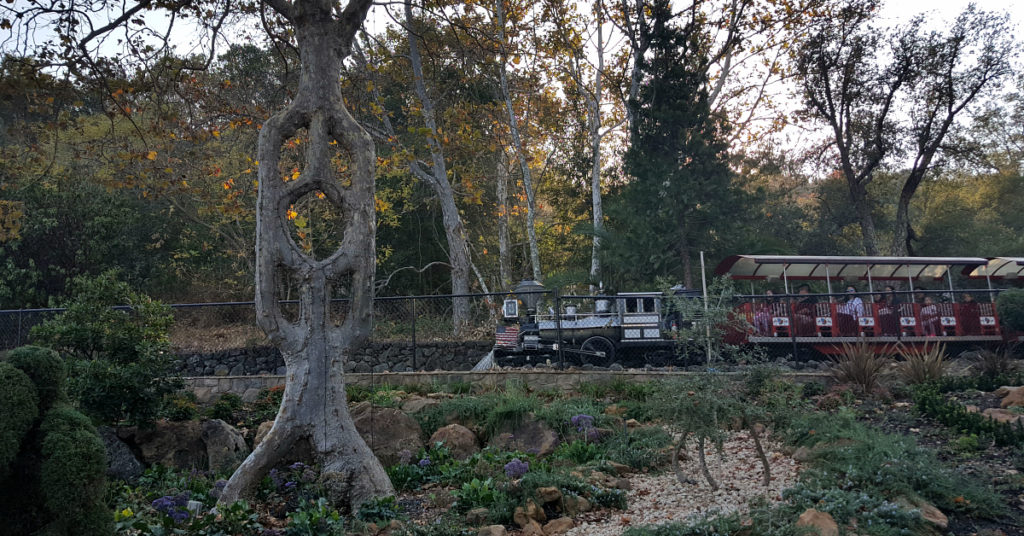 Gilroy Gardens Circus Trees and More! - Valerie Was Here