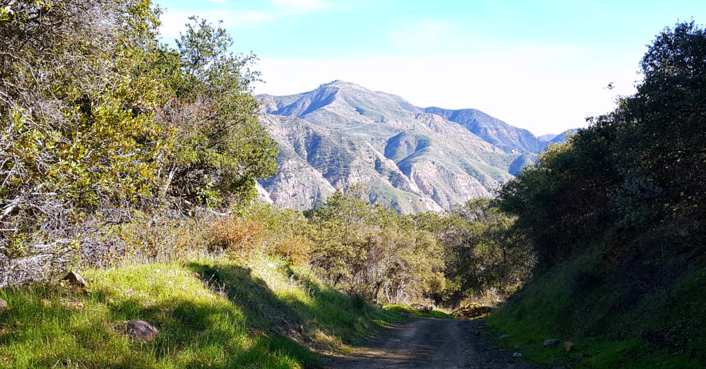 What to Do Near Rancho Oso Thousand Trails Resort - Valerie Was Here